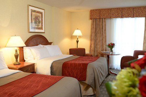 Comfort Inn Fallsview - Niagara